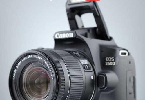 Canon EOS 250D Kit EF-S 18-55mm f/4-5.6 IS STM