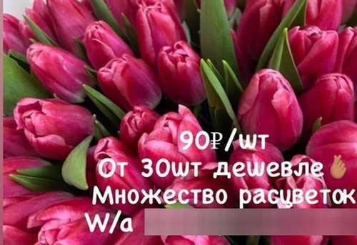 Тюльпаны к 8 марта в розницу и оптом