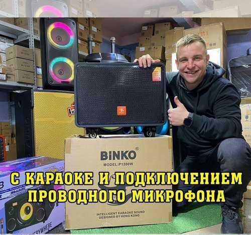 Колонка Binko P1200W c микрофоном и караоке