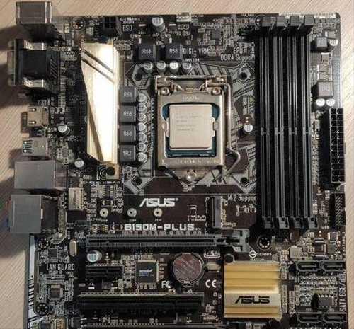 Asus B150M-plus (LGA1151, DDR4, PCI-E 3.0, M2)