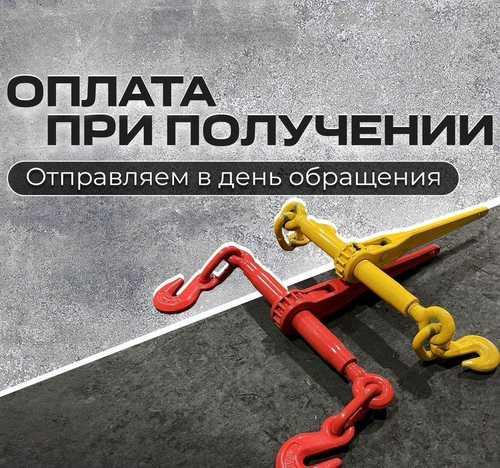 Талреп цепной