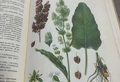 Книга Лечение растениями 1971 год