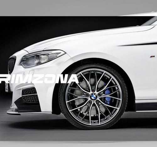 Литые диски в стиле BMW R18 5x120 srt. Примерка