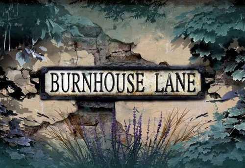 Burnhouse Lane Ps4/5. Подписки Ps plus Ps4/5 игры