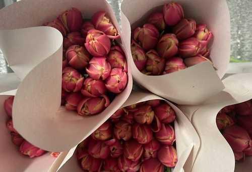 Пионовидные тюльпаны букеты