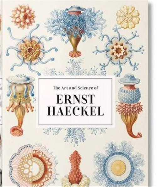 40 Ernst Haeckel Эрнст Геккель. Искусство и наука