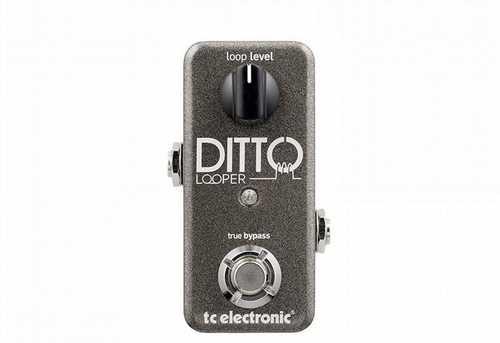 TC Electronic Ditto Looper - Нoвый. В наличии