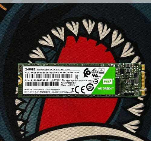 SSD M2 WD Green 240GB