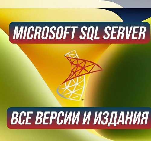 Microsoft SQL Server Ключ версии