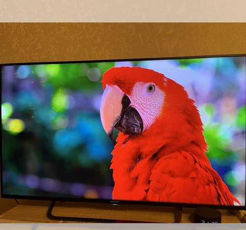 Телевизор sony bravia 49