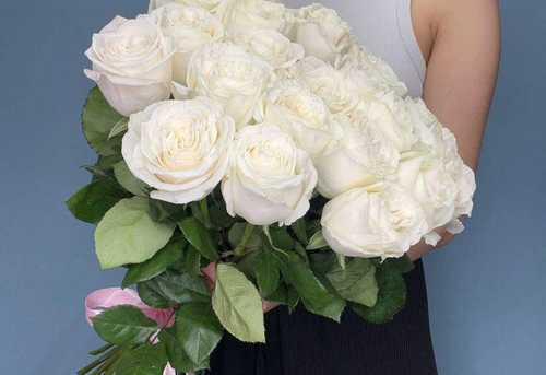 Белые розы эквадор пионовидные цветы доставка