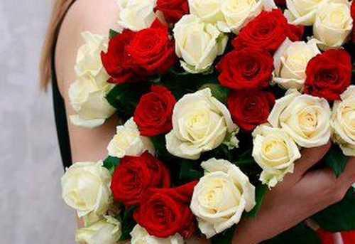 Букет из 51 красной и белой розы 50-60 см (Россия)