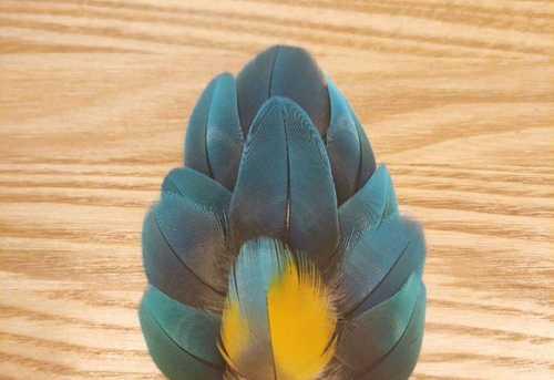Натуральные перья для рукоделия и творчества