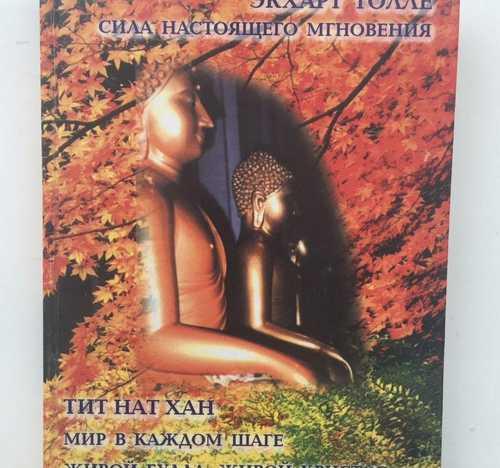 Книга Экхарт Толле "Сила настоящего мгновения"