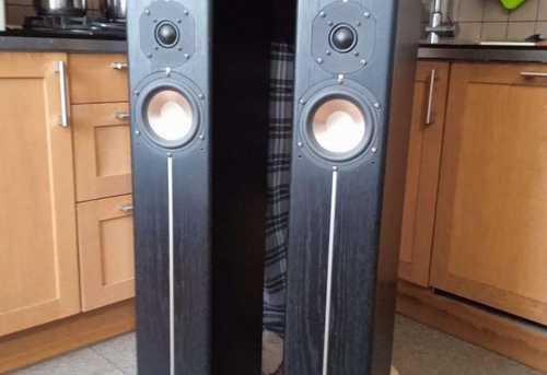 ASW Cantius 504