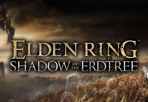 Elden ring Shadow of the Erdtree Edition(steam)