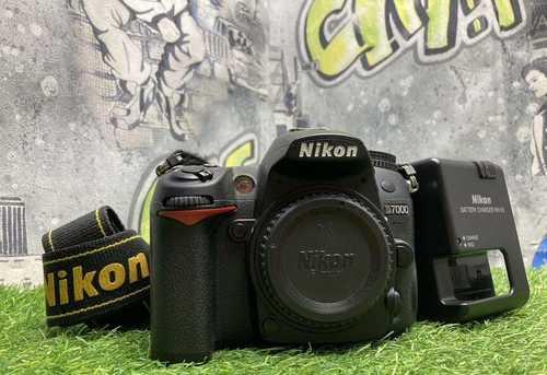 Nikon D7000 (8.000 кадров)