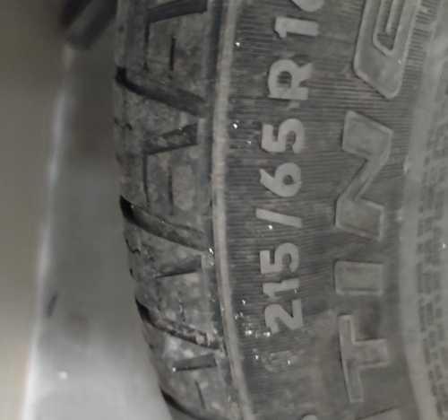 Continental AllSeasonContact 215/65 R16 M