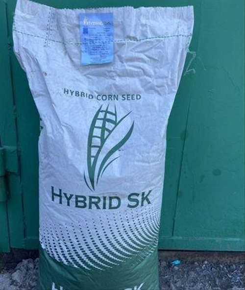 Семена кукурузы краснодарская росс 195