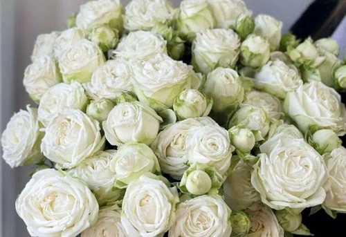 Пионовидные цветы белые кустовые розы