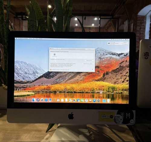 Моноблок apple iMac 21.5