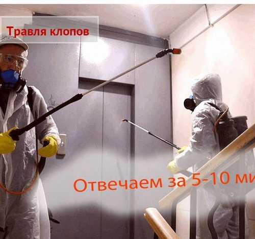 Средство от тараканов