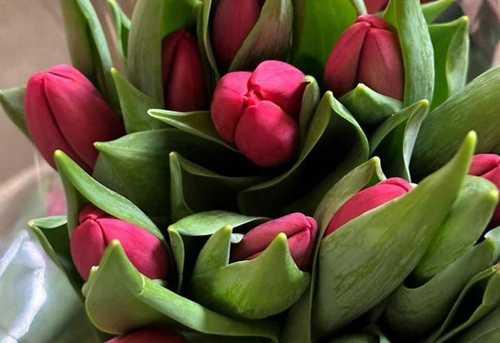 Тюльпаны букеты с доставкой, розы с доставкой