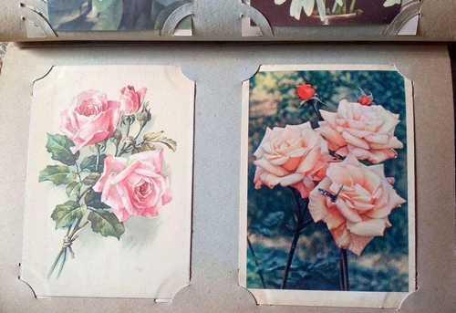 Старинные открытки СССР цветы