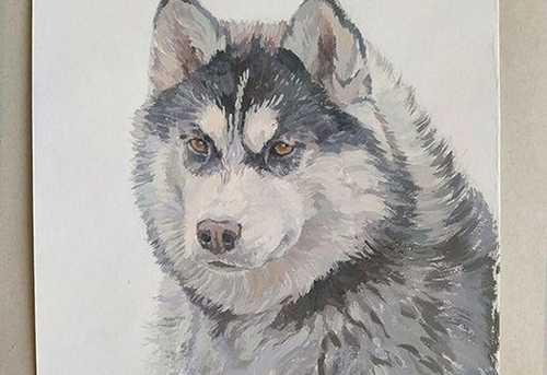 Картина Портрет собаки Аляскинский маламут