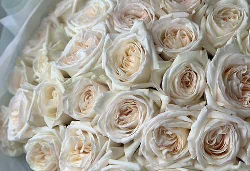 Ароматные пионовидные розы, букет роз, букет