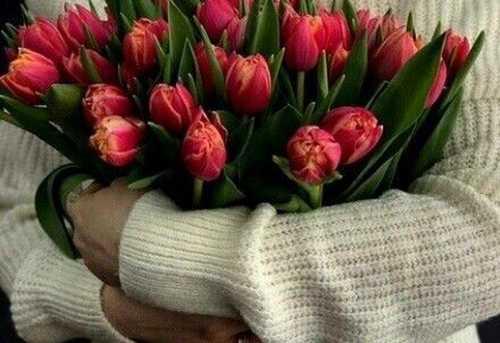 Красивые тюльпаны, букеты тюльпанов 8 марта