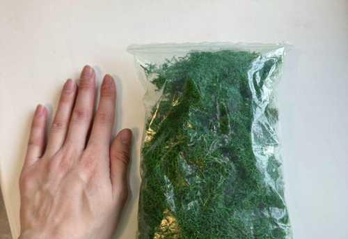 Стабилизированный мох зеленый для кашпо