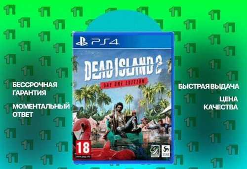 Red Dead Redemption 2 (PS4/PS5) Челябинск