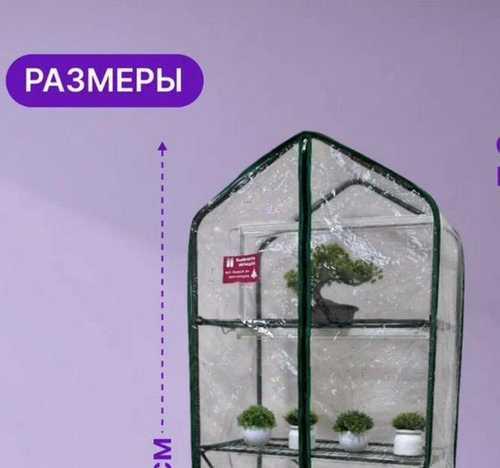 Домашний парник