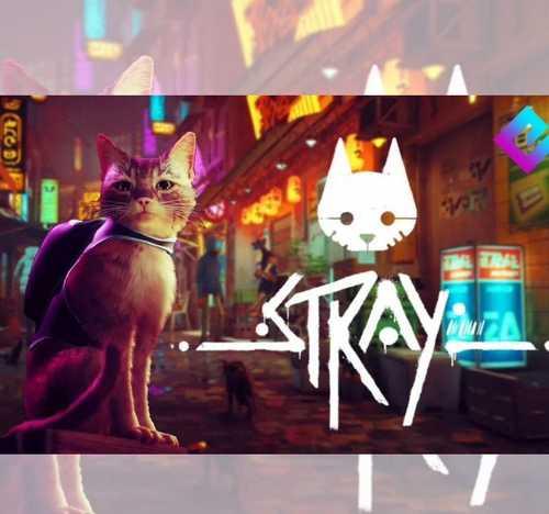 Stray на ps4 и на ps5