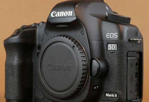 Canon EOS 5D Mark II (id 30599)