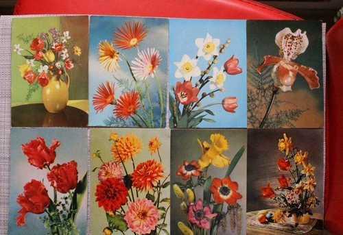 Чистые открытки цветы.8 шт.Германия 70-е