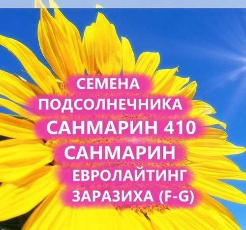 Семена подсолнечника Санмарин 410 Гибрид, Калуга