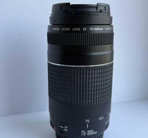 Canon EF 75-300mm f/4-5.6 III