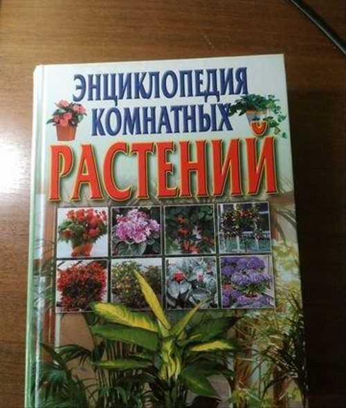 Энциклопедия комнатных растений | Festima.Ru - Мониторинг объявлений