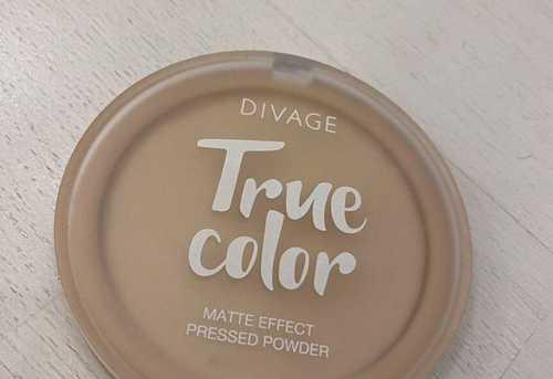 Новая пудра Divage true color