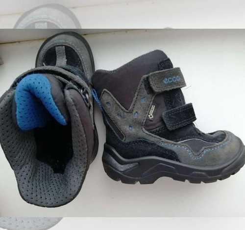 Ecco gore tex