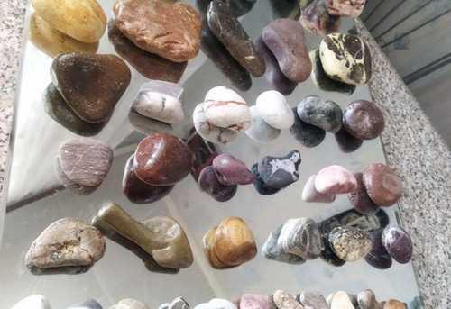 Коллекция черноморских камней
