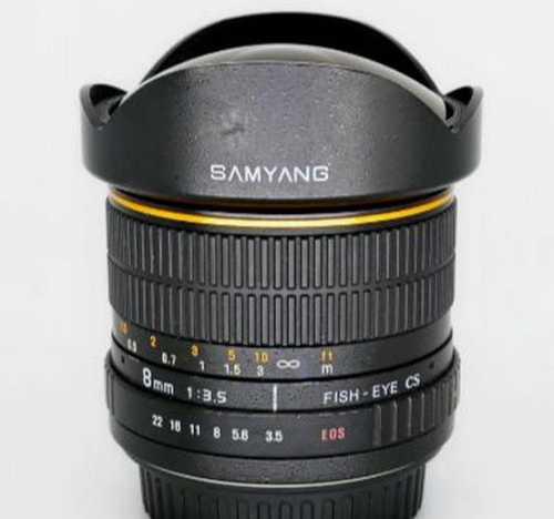 Samyang 8mm /3.5 UMC fish-eye Canon (и аренда)