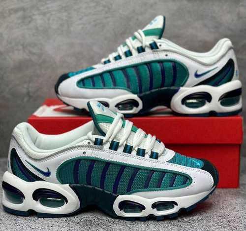 Кроссовки Nike Air Max Tailwind 4