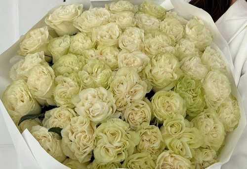Розы Букет белых роз 19 25 35 51 101 роза Цветы