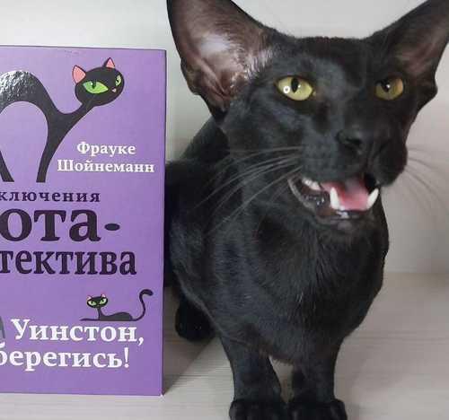 Книга "Приключения кота детектива"