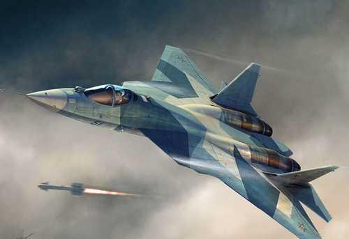 87257 Самолет Russian T-50 PAK-FA (Hobby Boss) 1