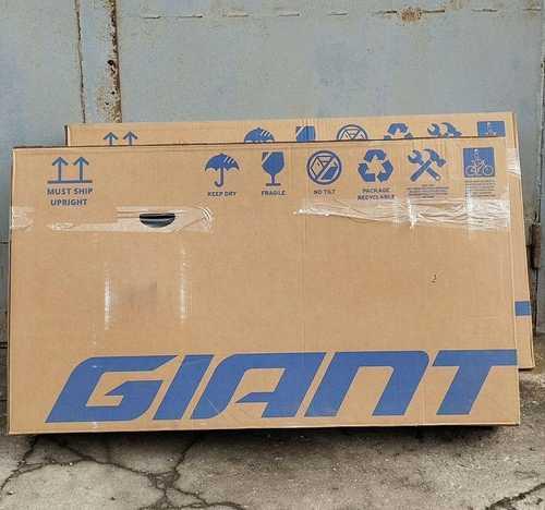 Новый велосипед Giant Roam 2 Disc зелёно-золотой M