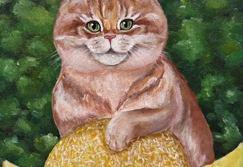 Картина кот " Дынный Кот"